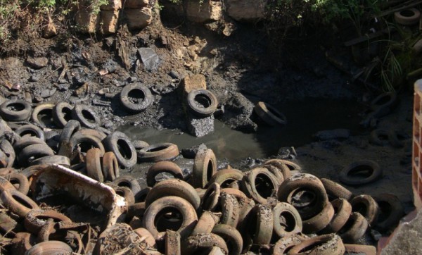 Survey of pollution sources, Portugal | Nemus